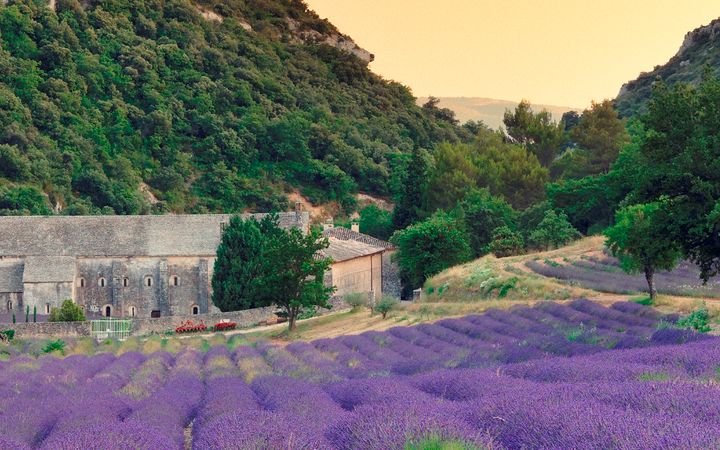 Voyages culturels en France | Intermèdes